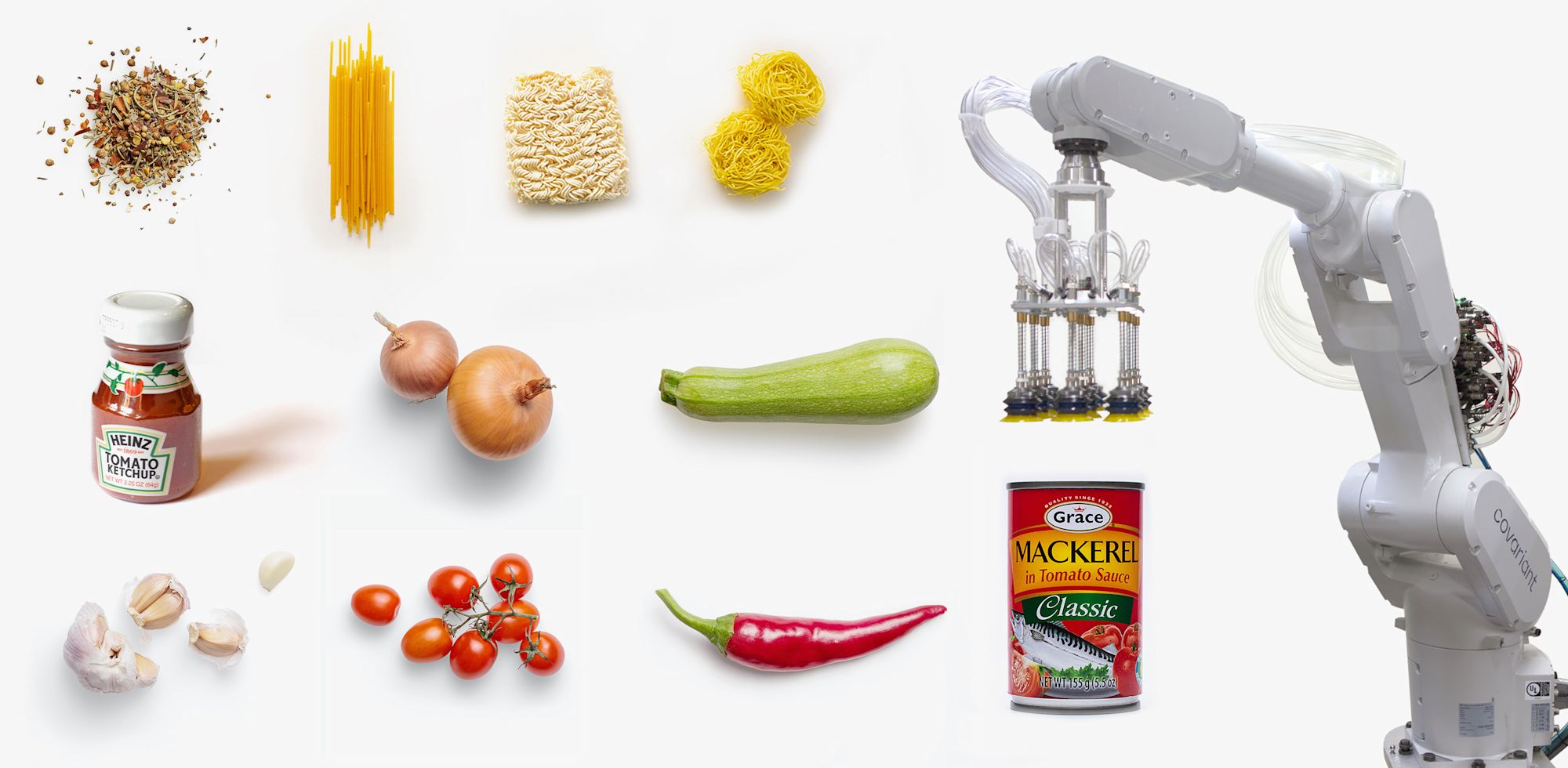 AI Robotics for the Real World | Covariant