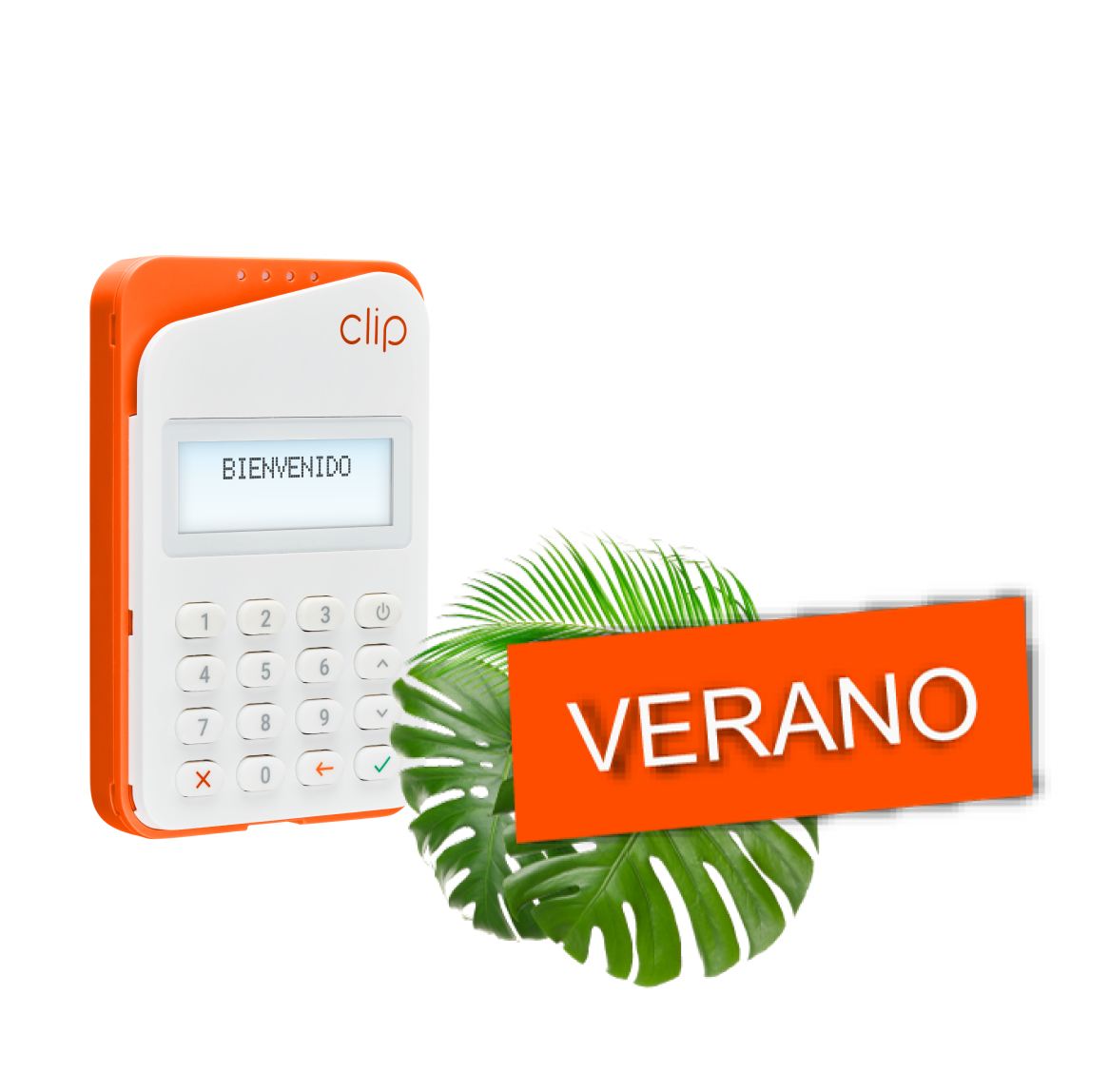 Acepta Todas las Tarjeta de Crédito, Débito y Vales | Clip