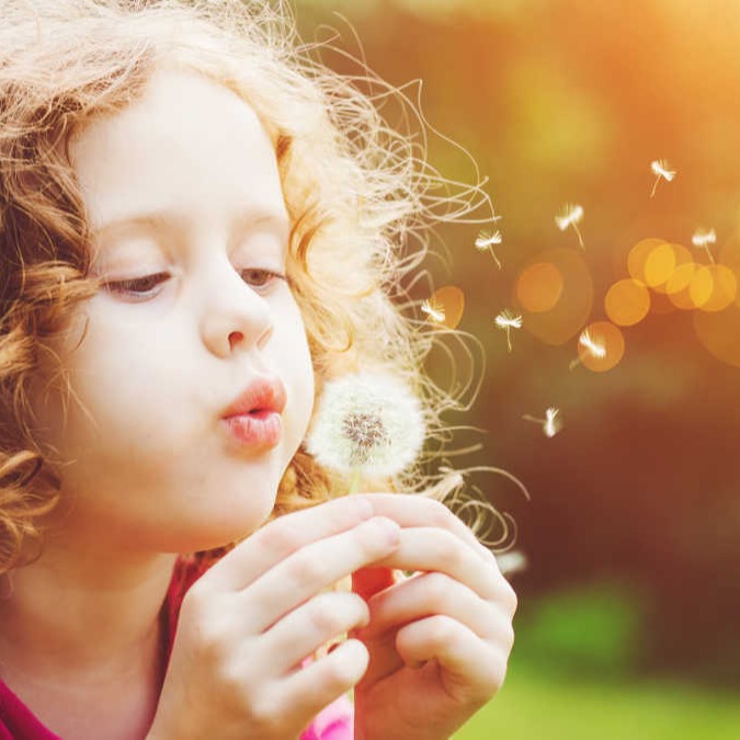 Brands - Wild Sky Media