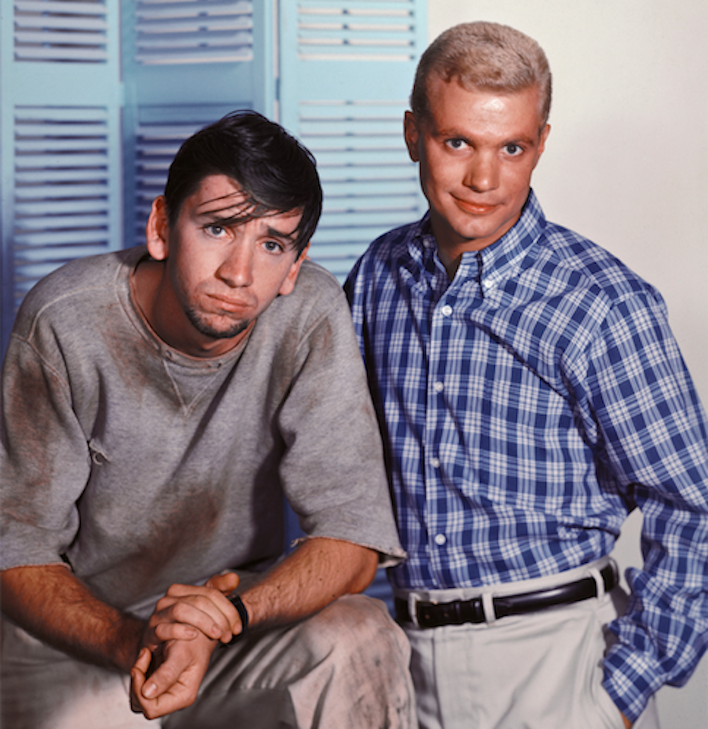 Dwayne Hickman | 15 Stars Who Dropped Off Your Radar | Purple Clover