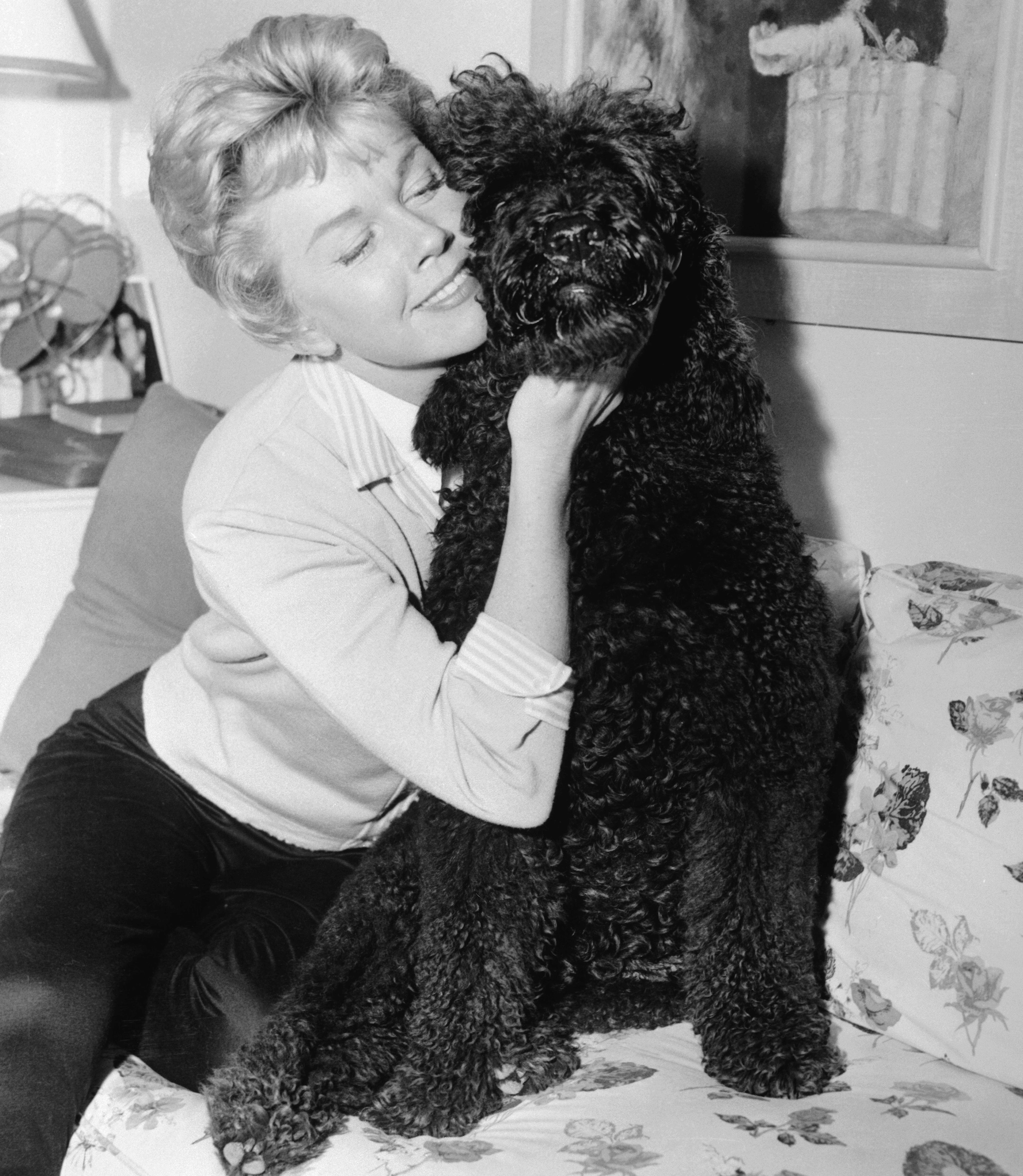 What Happened To Doris Days Dogs