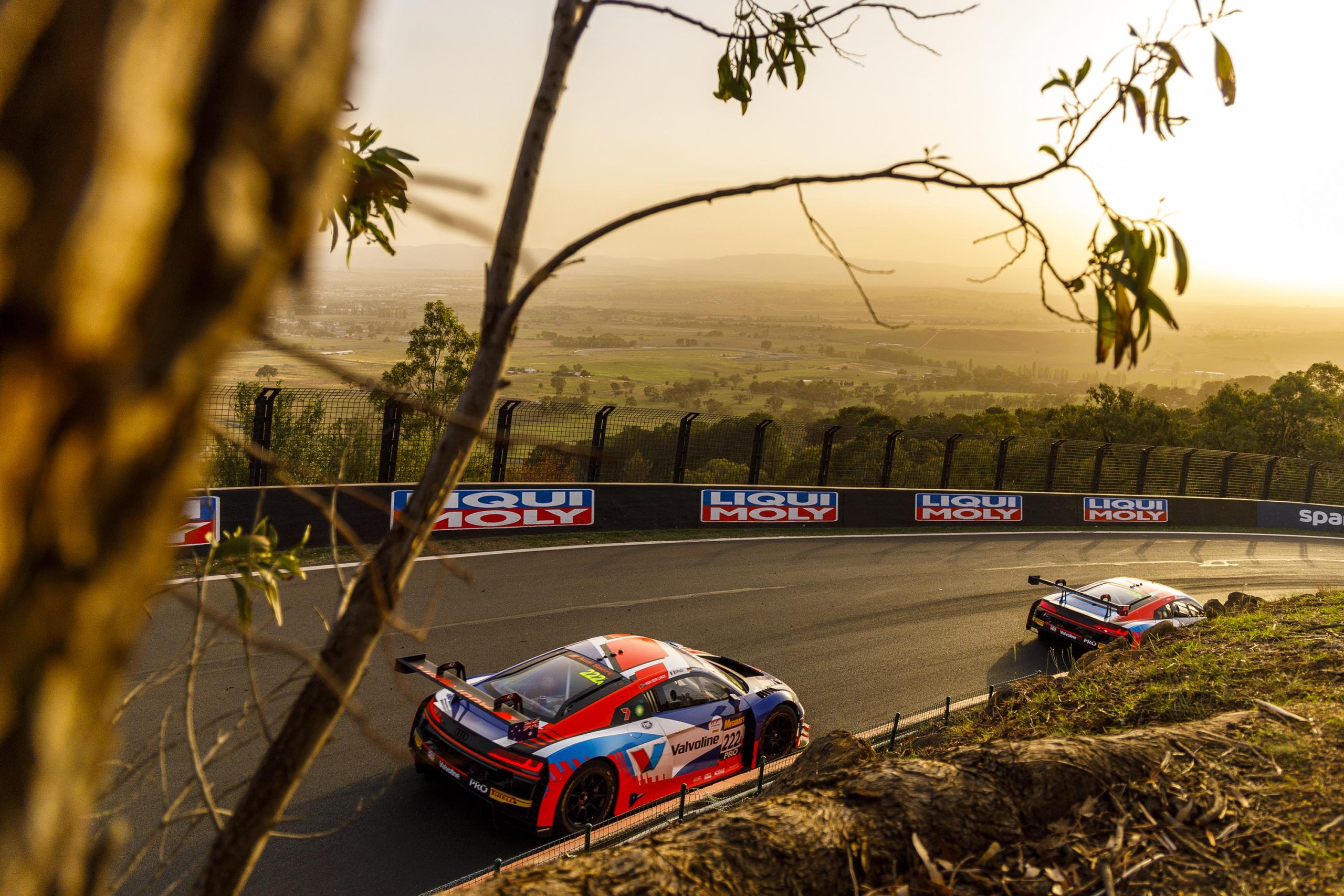 The B12hr brands by the numbers - Audi | Bathurst 12 Hour