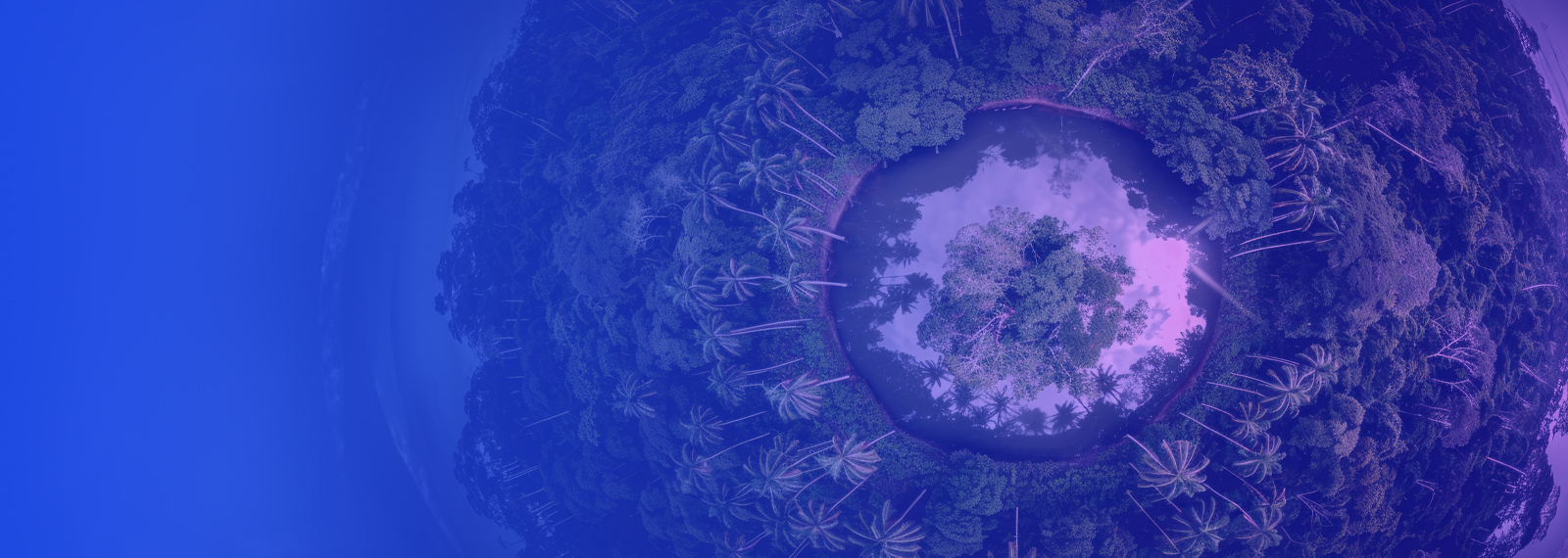 What is the role of consumption taxes in building effective tax systems ...