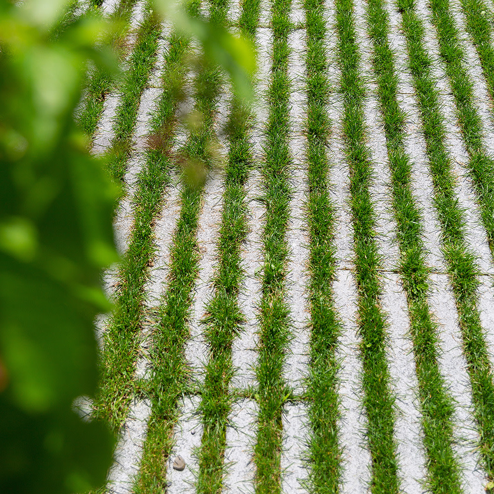 RAINA Rasenliner | CREABETON BAUSTOFF AG