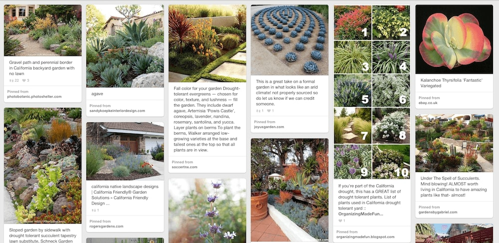 Xeriscaping: Create a Drought-Tolerant Landscape | Expertise.com