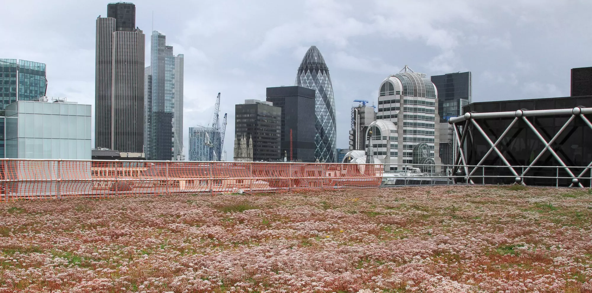 BMI Group | Our Company