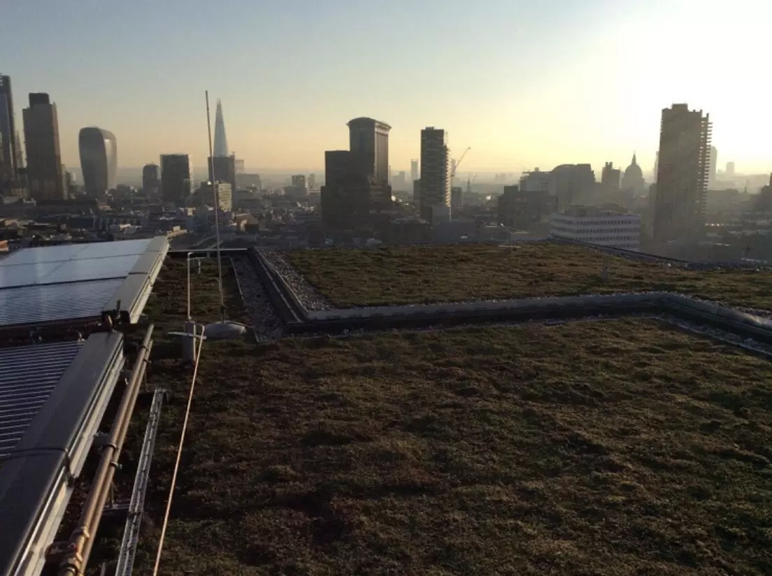 Blue roofs | Building Owners | Your Project | BMI Group