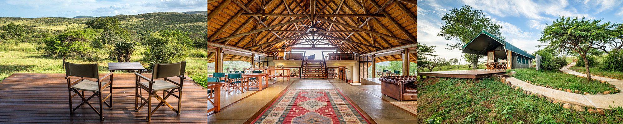 Mavela Game Lodge - Big 5 game reserve - South Africa | Wildlife Experience