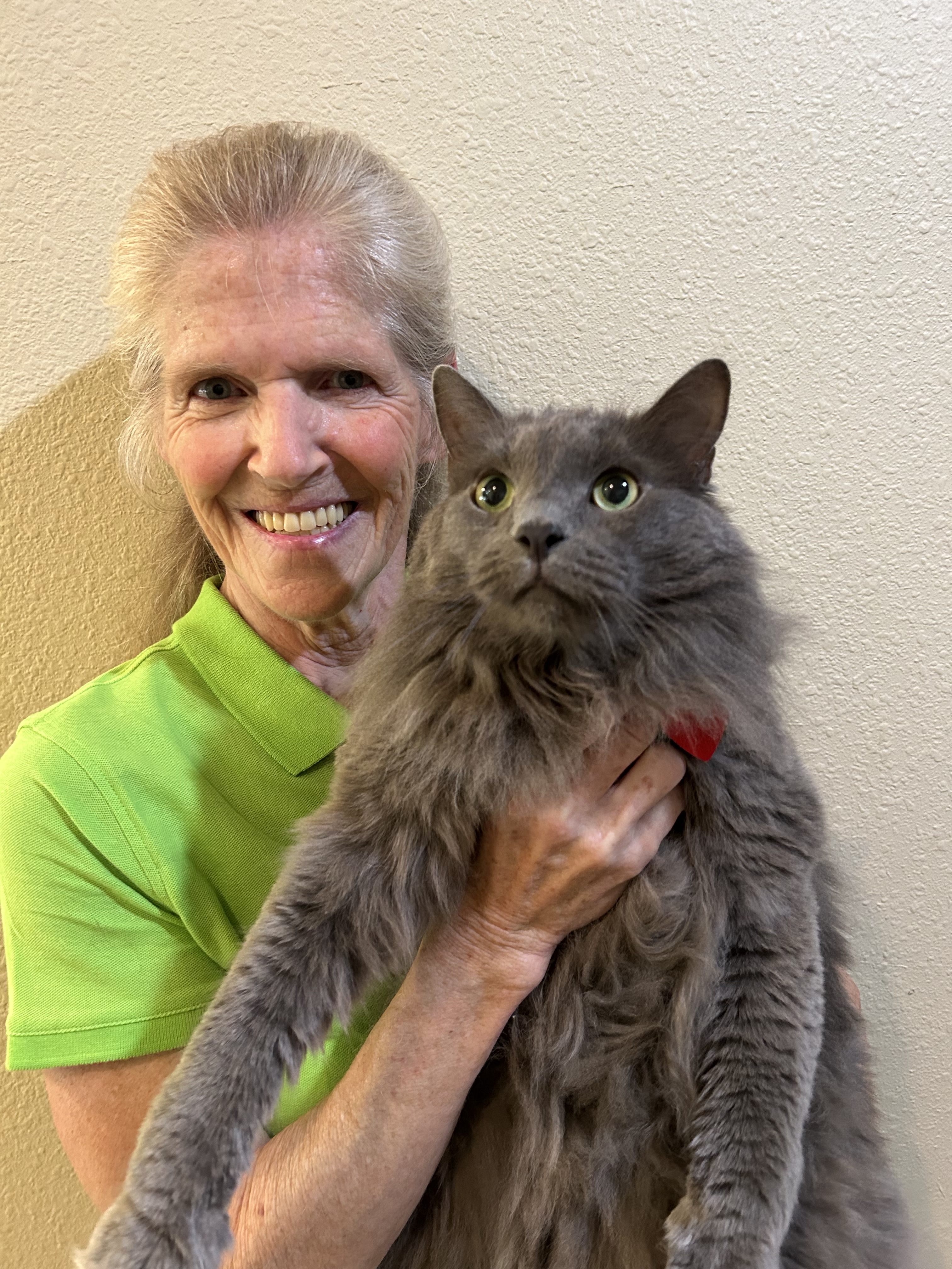 Crisis Animal Response Team