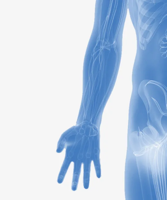 LVIS™ EVO™ | Terumo Neuro