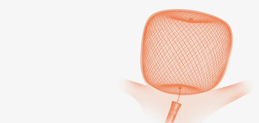 Therapeutic | Terumo Neuro