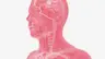 Terumo Neuro | Innovative Neurovascular Solutions | Terumo Neuro