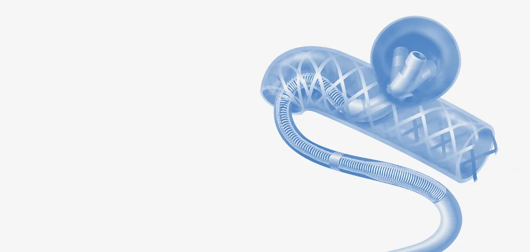 Access | Terumo Neuro