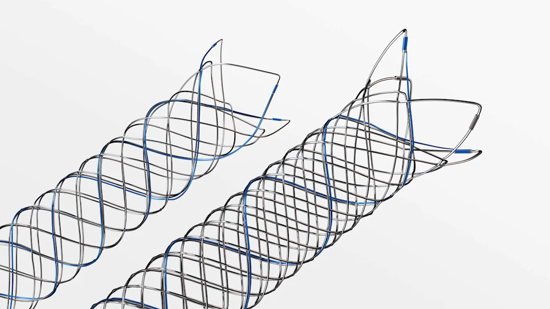 MicroVention® Announces FDA Approval For Neuro Stent Device | Terumo Neuro