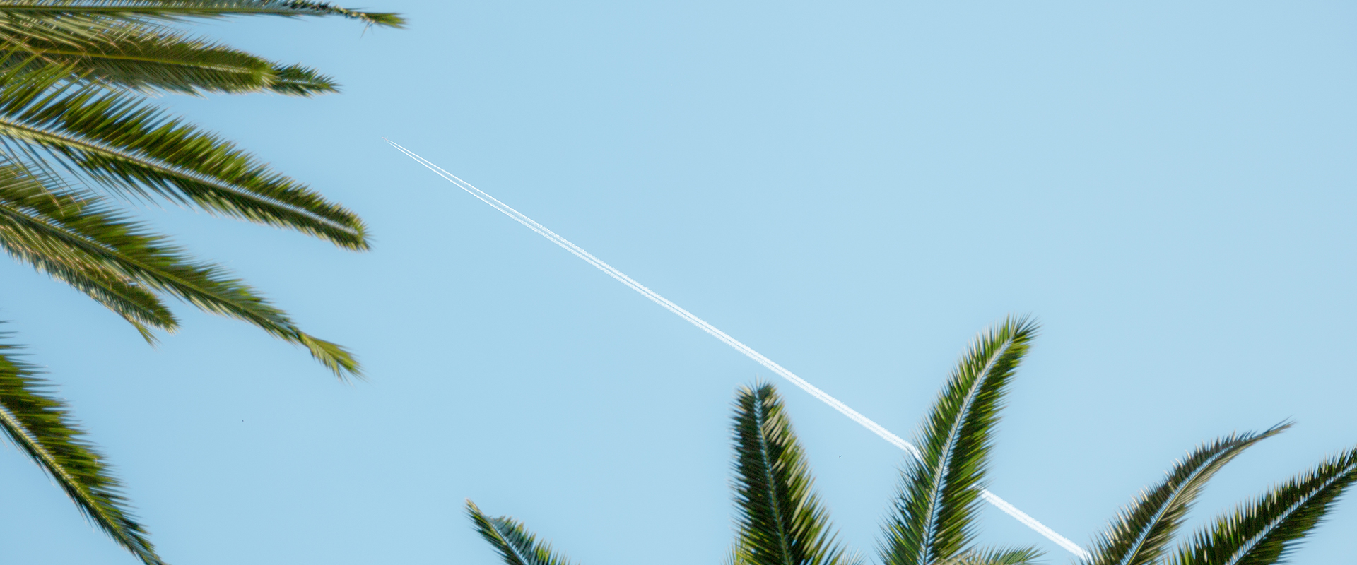 Boka endast flyg – flygbiljetter och flygresor till hela världen | TUI.se