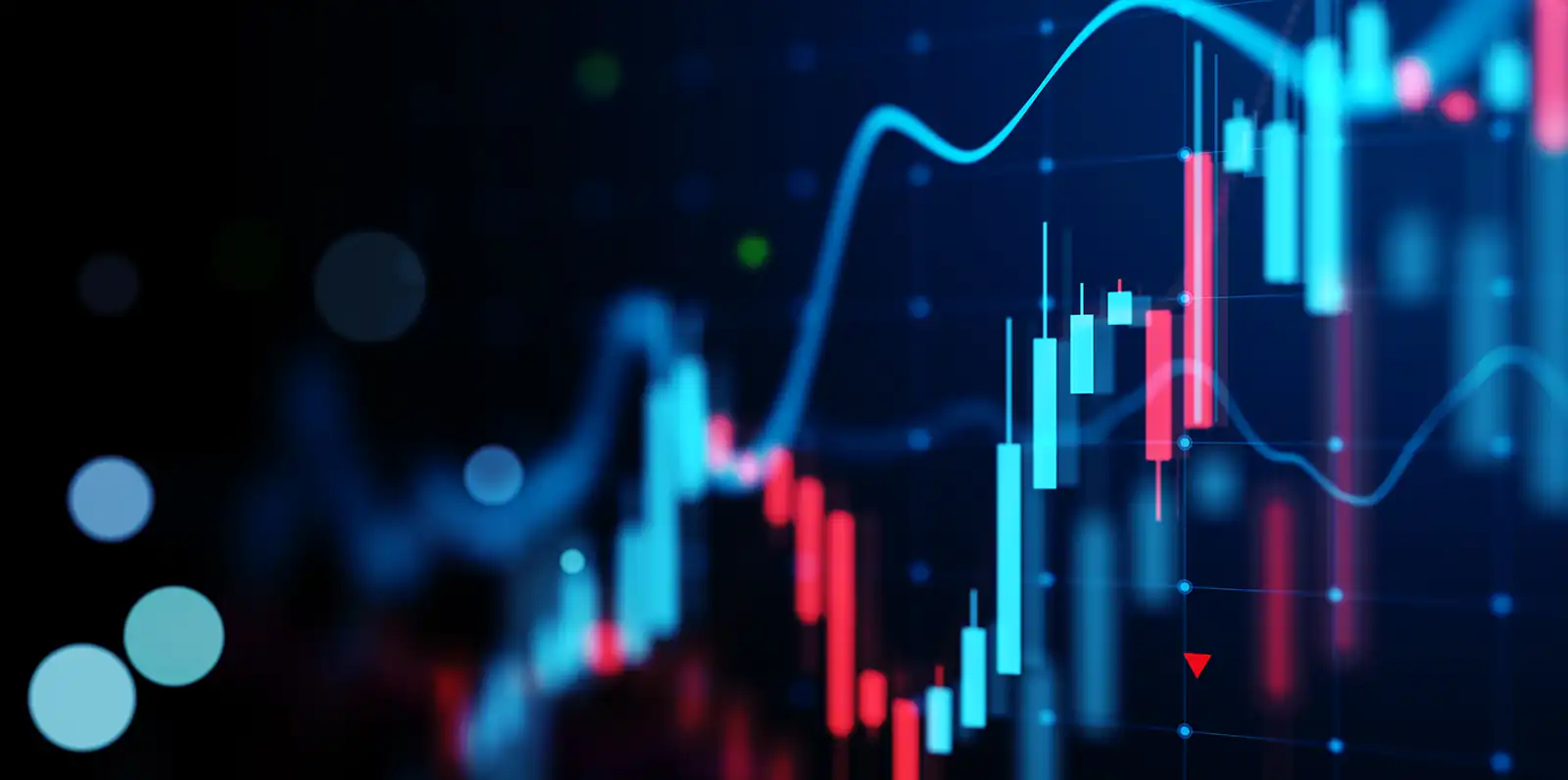 Netværk i Alternative Investeringer