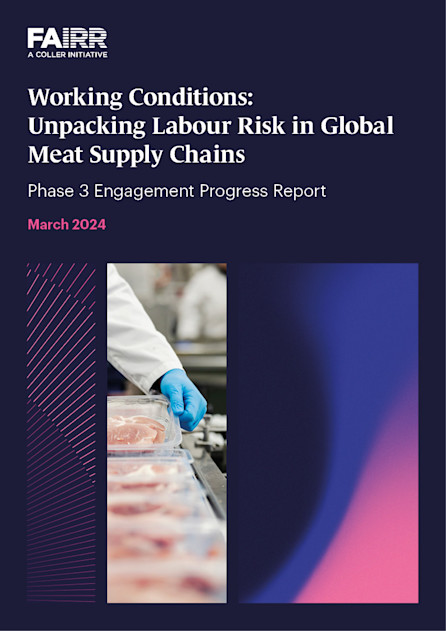 Unpacking Labour Risk in Global Meat Supply Chains Phase 3 | FAIRR
