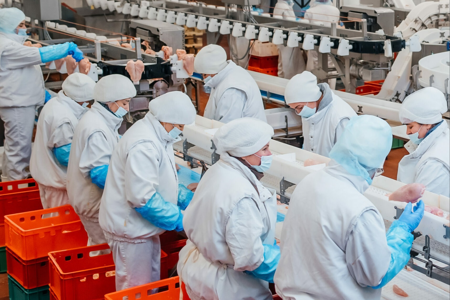 Working Conditions Engagement | FAIRR