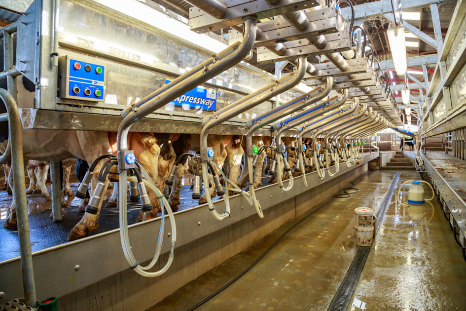 Just Transition in Animal Agriculture: Emerging Developments | FAIRR