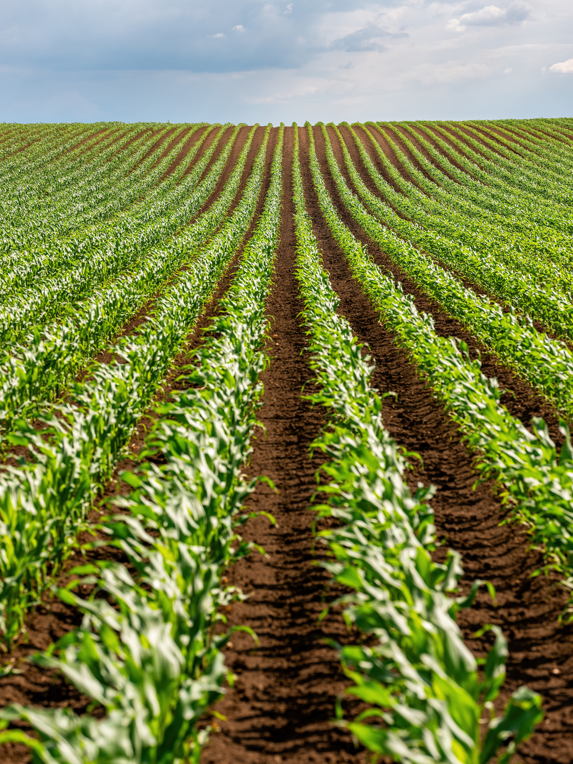 FAIRR at COP30 | FAIRR