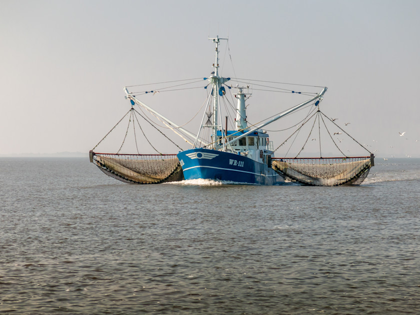 Supply Chain Traceability Gaps Leave Global Seafood Giants at Risk Amid ...