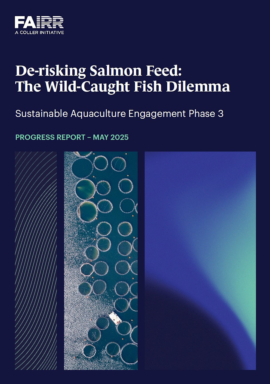De-risking Salmon Feed: The Wild-Caught Fish Dilemma | FAIRR