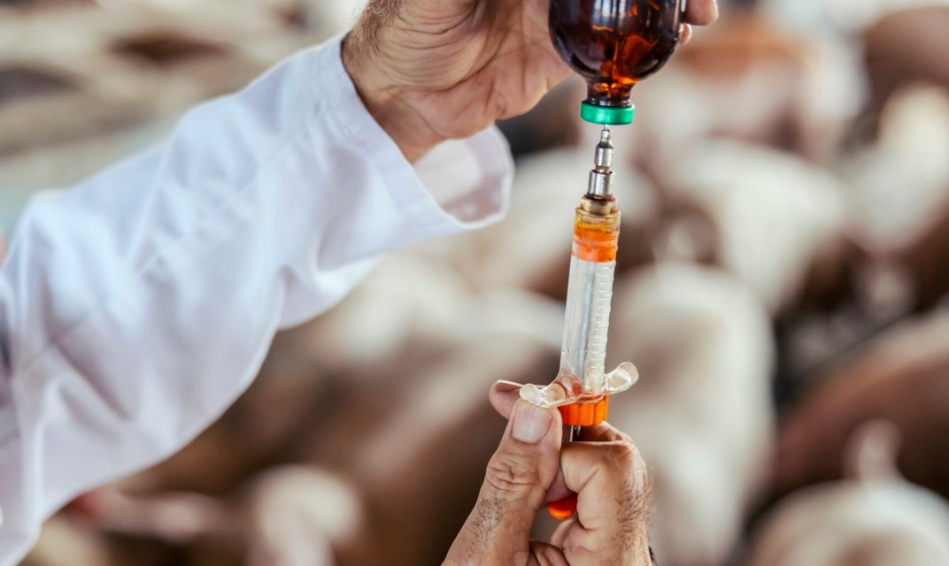 Animal Pharmaceuticals Engagement | FAIRR