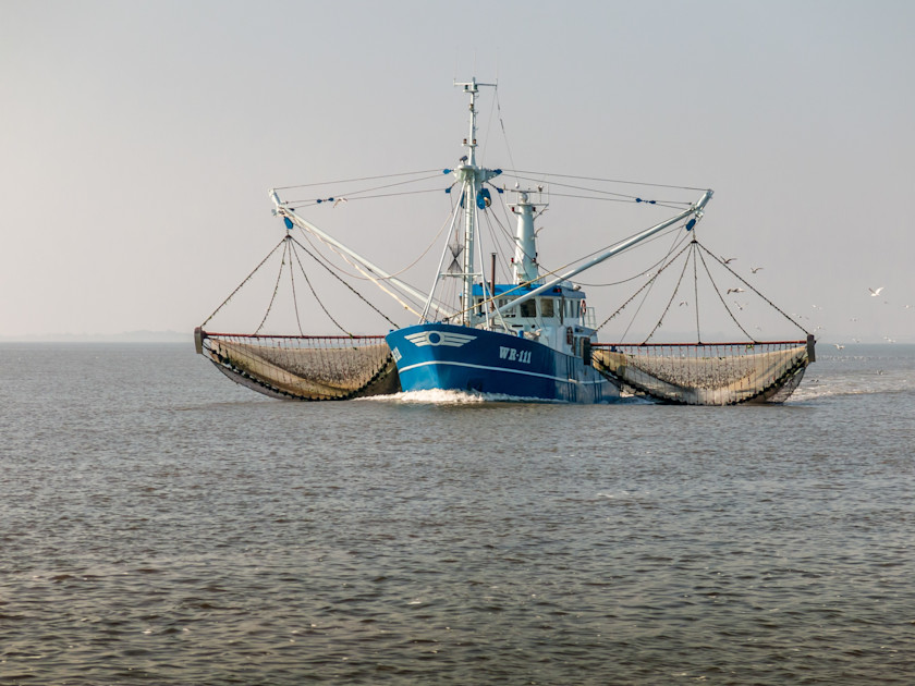 Ocean Trawling: An Overlooked Climate and Nature Risk? | FAIRR