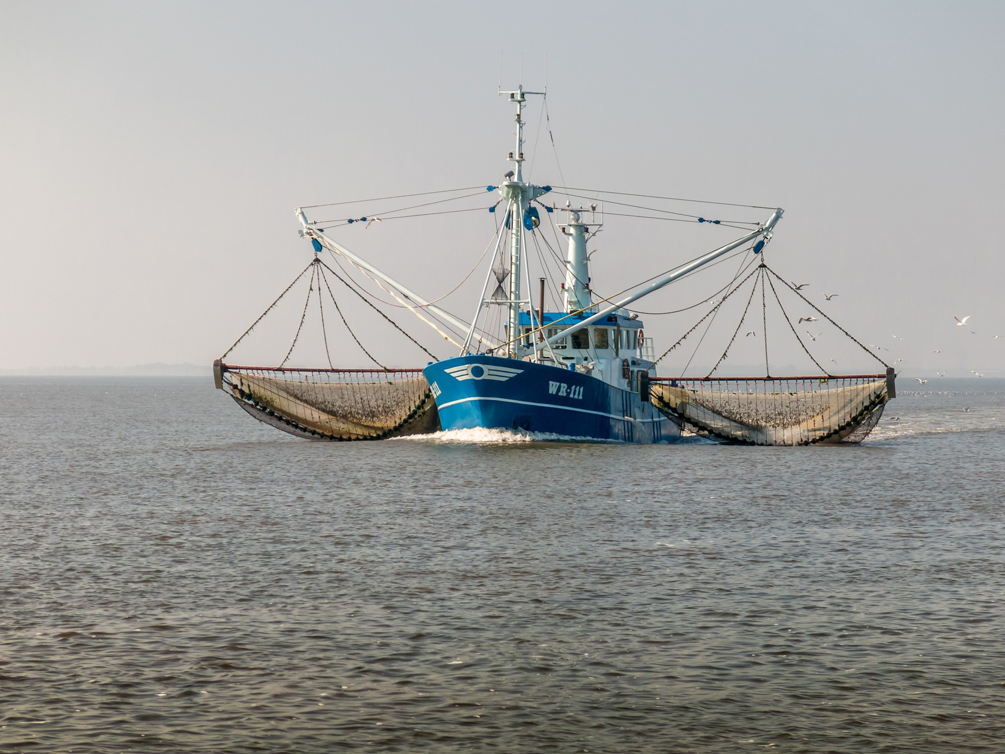 Ocean Trawling: An Overlooked Climate and Nature Risk? | FAIRR