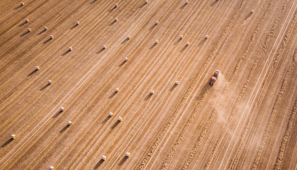 The Global Balancing Act: Population Growth vs Dwindling Resources | FAIRR