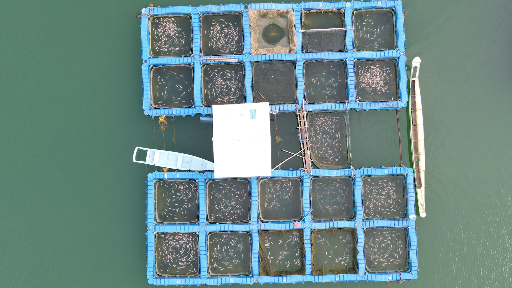 Coller FAIRR Seafood Index | FAIRR