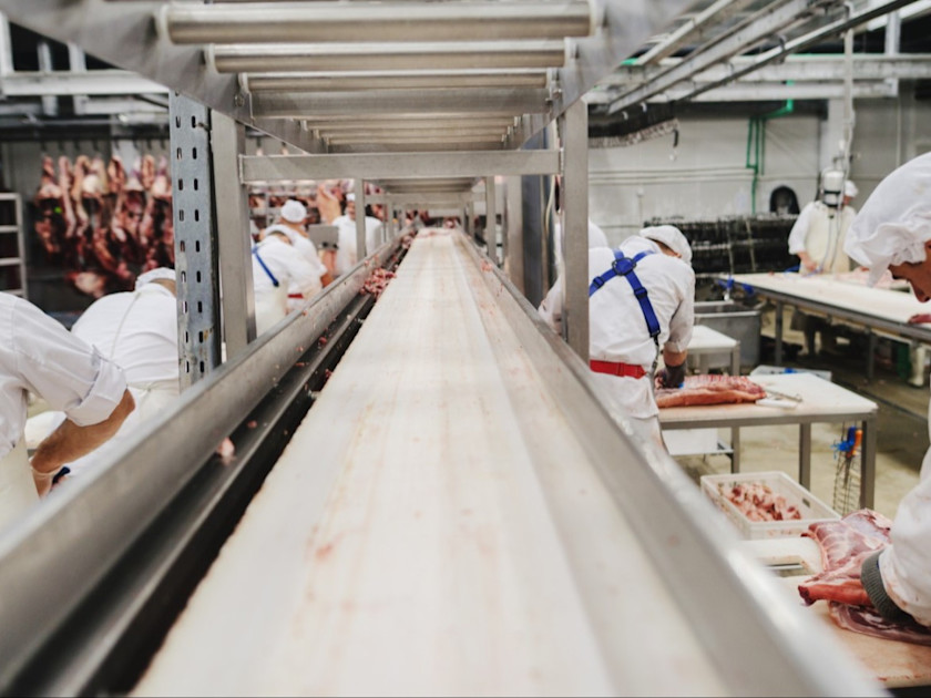 Working Conditions in the Animal Agriculture Industry | FAIRR | FAIRR