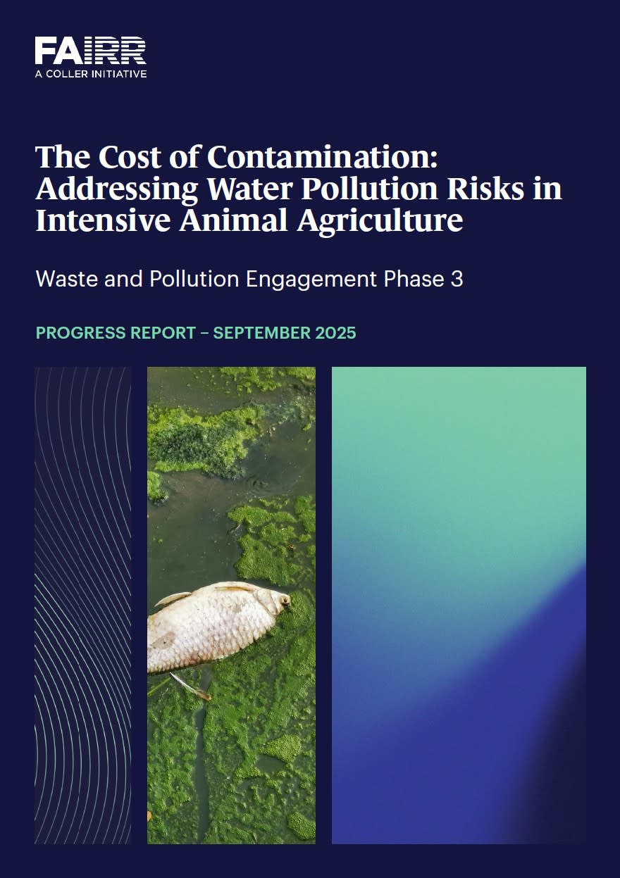 The Cost of Contamination: Addressing Water Pollution Risks in ...