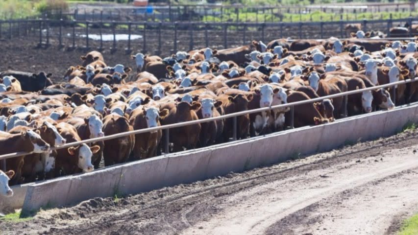 FAIRR Initiative | A Global Network of Investors Addressing ESG Issues ...