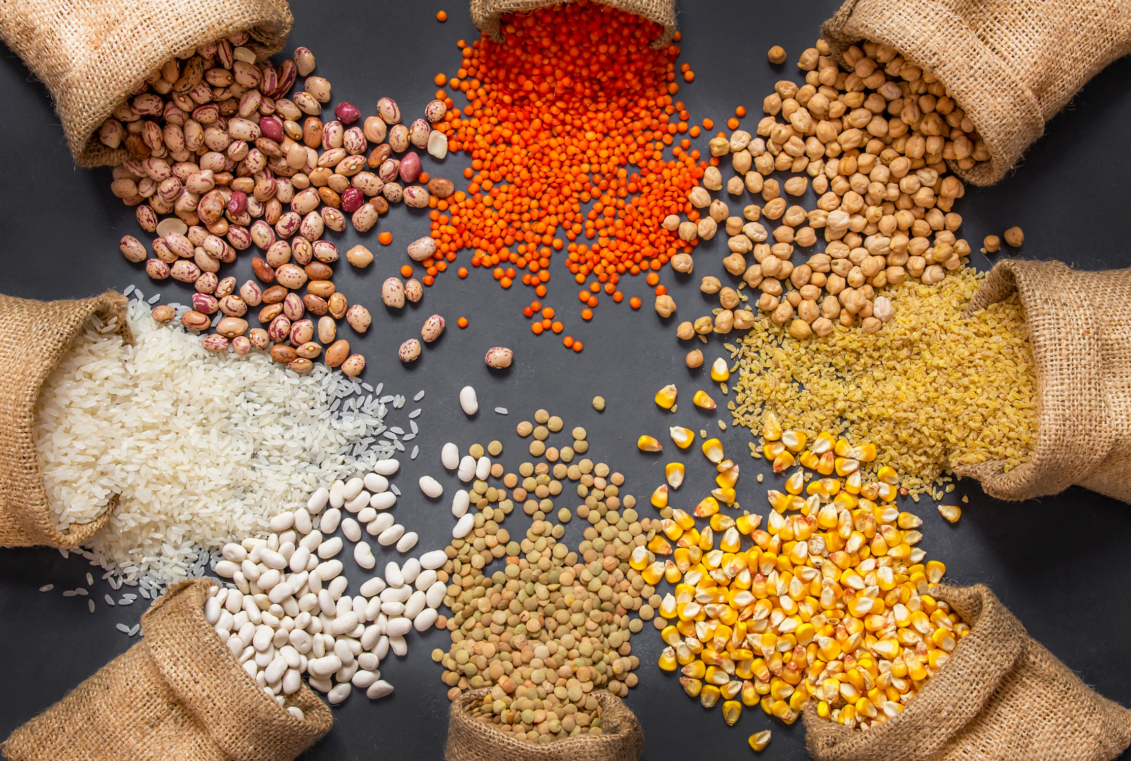 Alternative Protein Sources and Protein Diversification | FAIRR | FAIRR