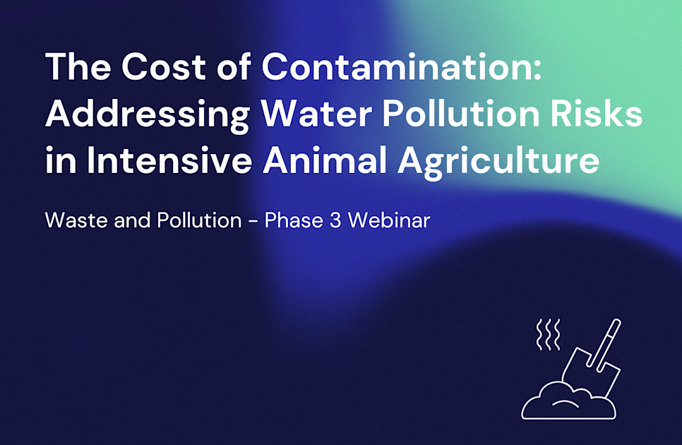 The Cost of Contamination: Addressing Water Pollution Risks in ...