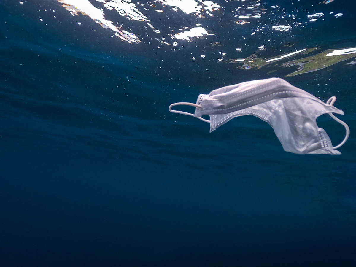 A beginner’s guide to avoiding single use items | City of Sydney - News