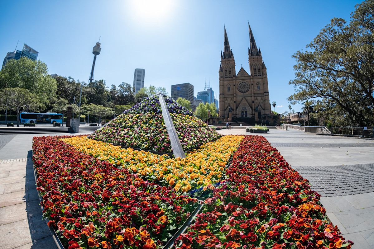 Summer is here and it’s blooming beautiful | City of Sydney - News