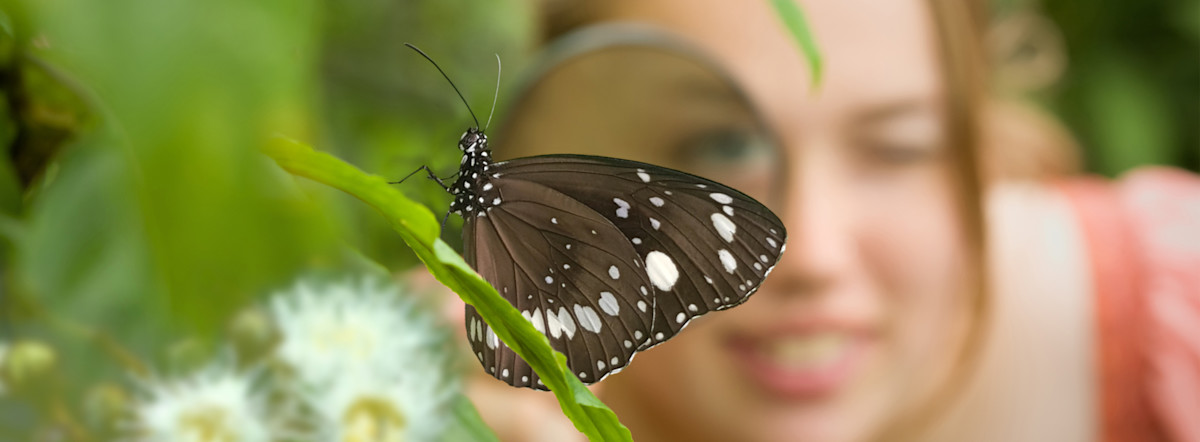 How to get involved in nature conservation | City of Sydney - News