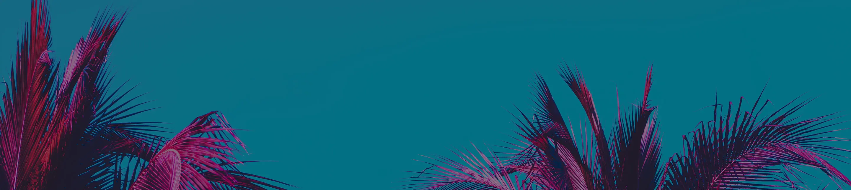 FOCUS 2024 Recap & Highlights | FactSet