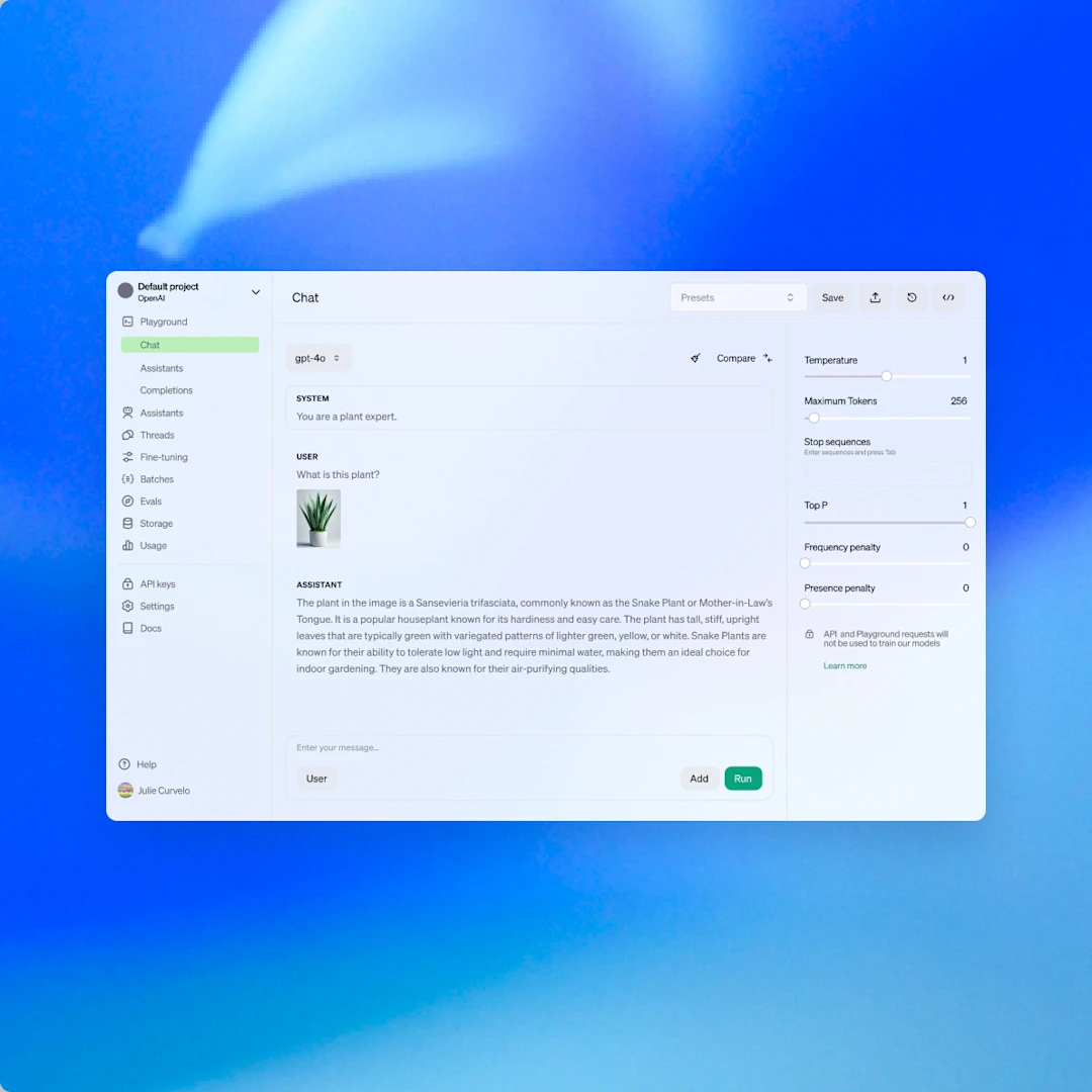 API Platform | OpenAI