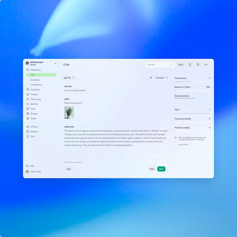 API Platform | OpenAI