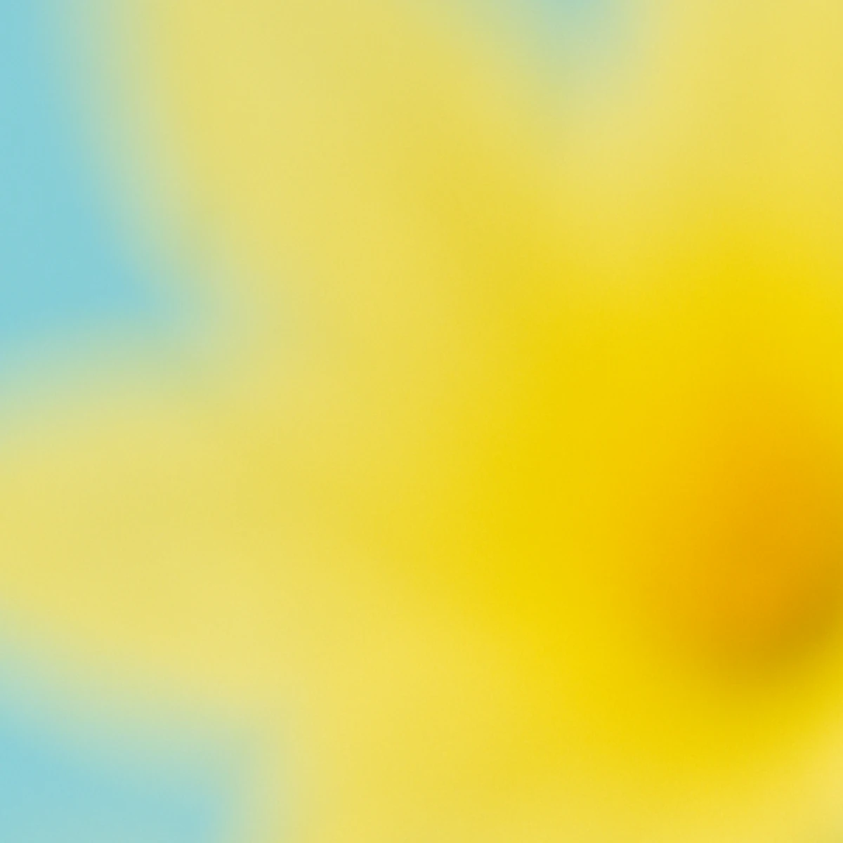 OpenAI, ChatGPT & Sora Privacy Settings | OpenAI