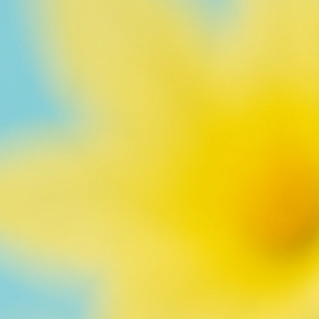 OpenAI, ChatGPT & Sora Privacy Settings | OpenAI