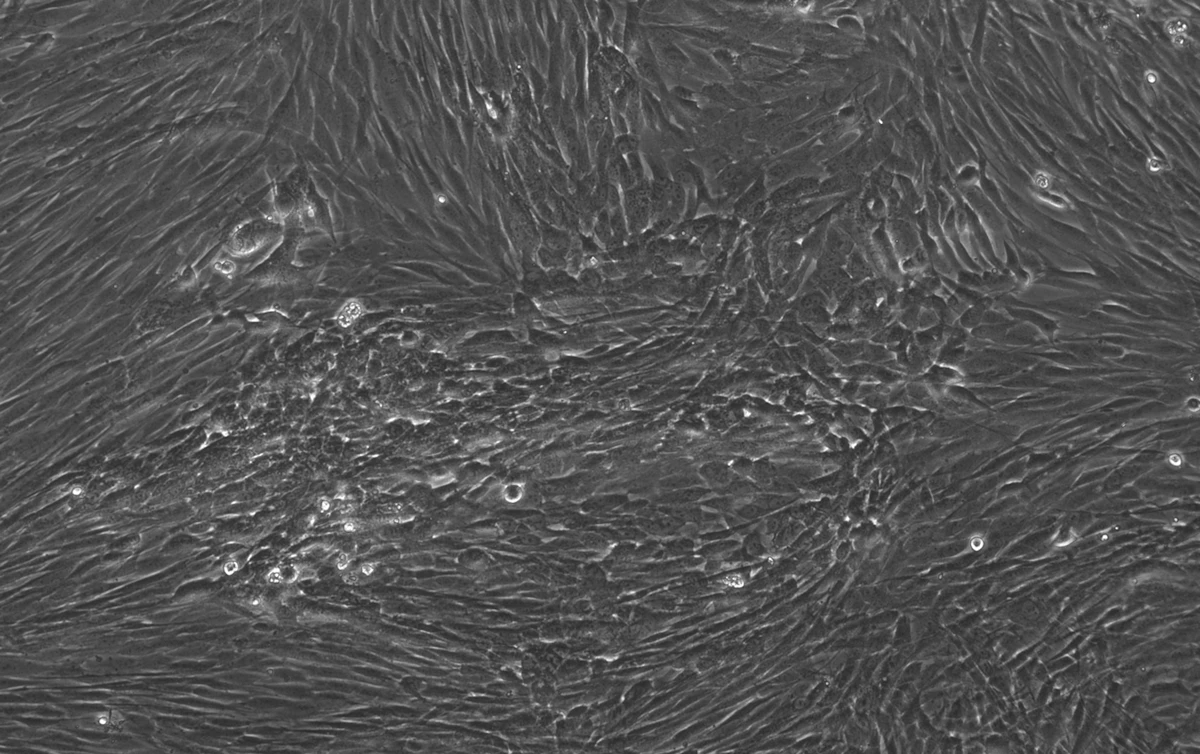 Accelerating life sciences research | OpenAI