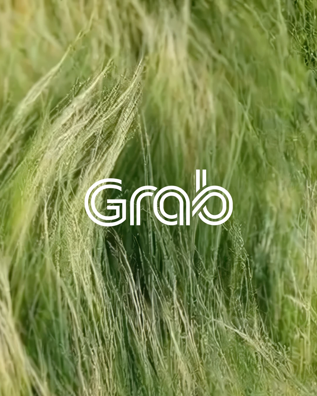 OpenAI Stories | API | OpenAI