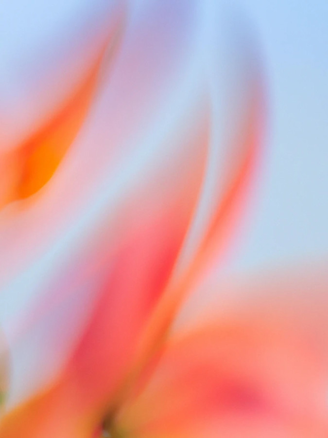 OpenAI and Apple announce partnership | OpenAI