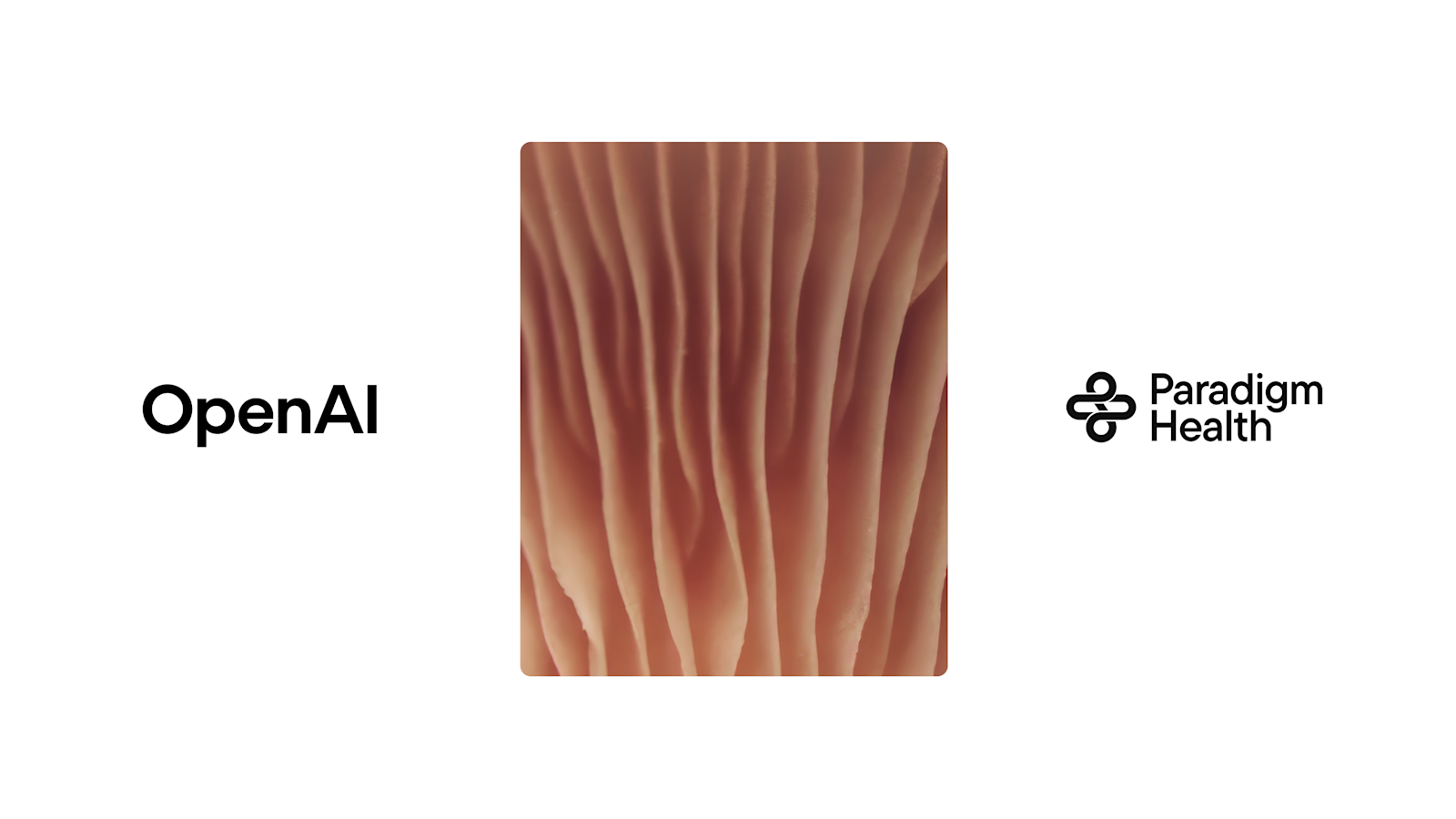 Using AI to improve patient access to clinical trials | OpenAI