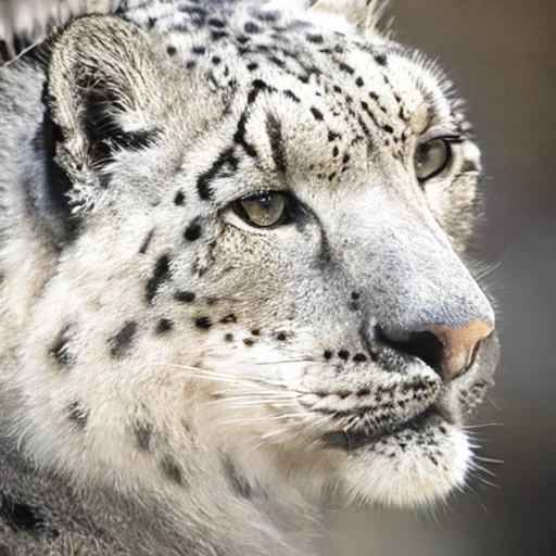 Simplifying, stabilizing, and scaling continuous-time consistency models | OpenAI