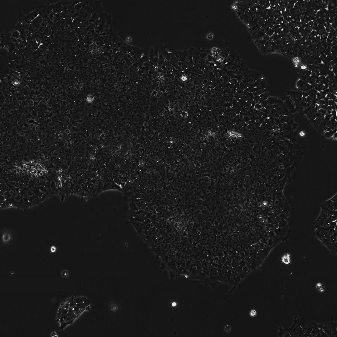 Accelerating life sciences research | OpenAI